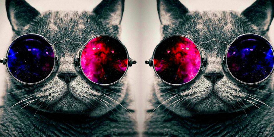 The Most Fun Zodiac Signs Ranked Yourtango 0418